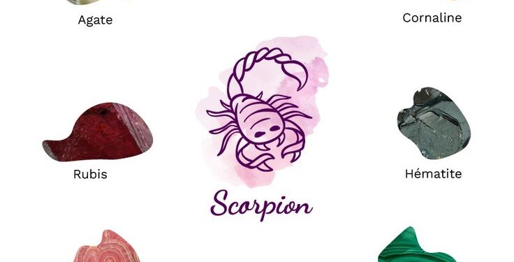 Le Scorpion, le pire signe du zodiaque ? - Le Progrès Egyptien Le Scorpion, le pire signe du zodiaque ? - Le Progrès Egyptien