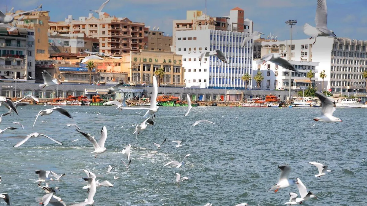 Le Port De Port-Saïd Classé 10e Dans L'indice De Performance Des Ports ...