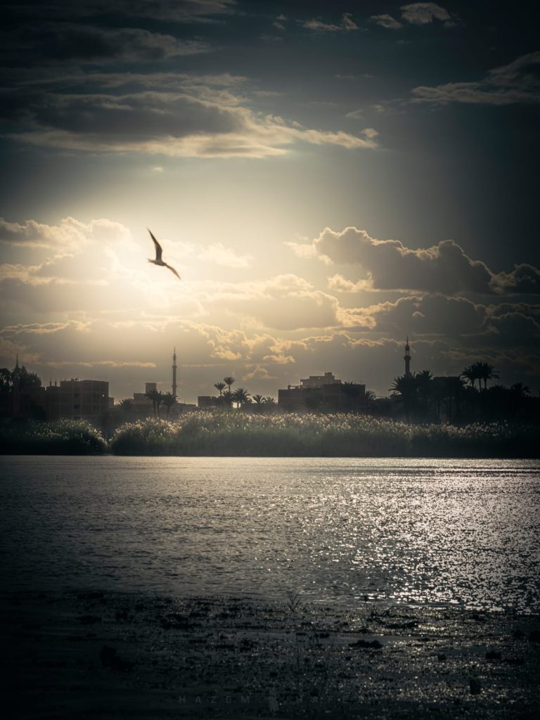 "L'Egypte Mystérieuse"... Hazem Documente La Nature Avec Son ‫ Viseur ...
